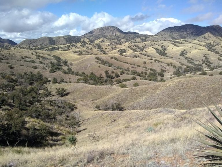 Santa Rita Mountains – Sagebrush Trails