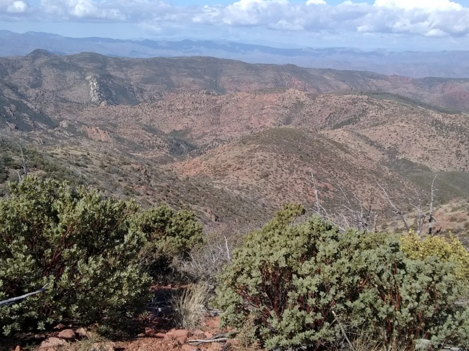 East Verde River – Sagebrush Trails