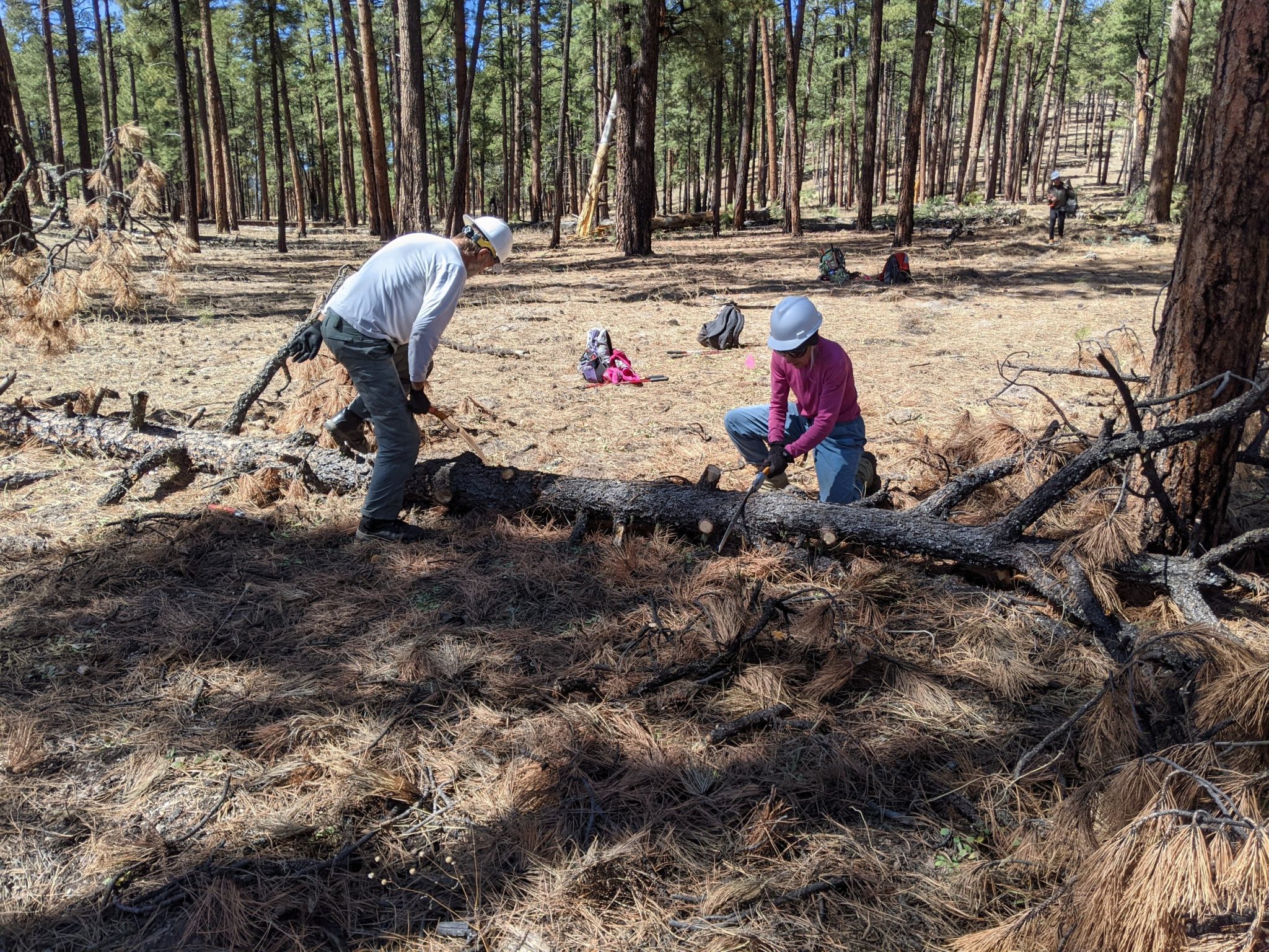 Prior Creek Trail – Sagebrush Trails