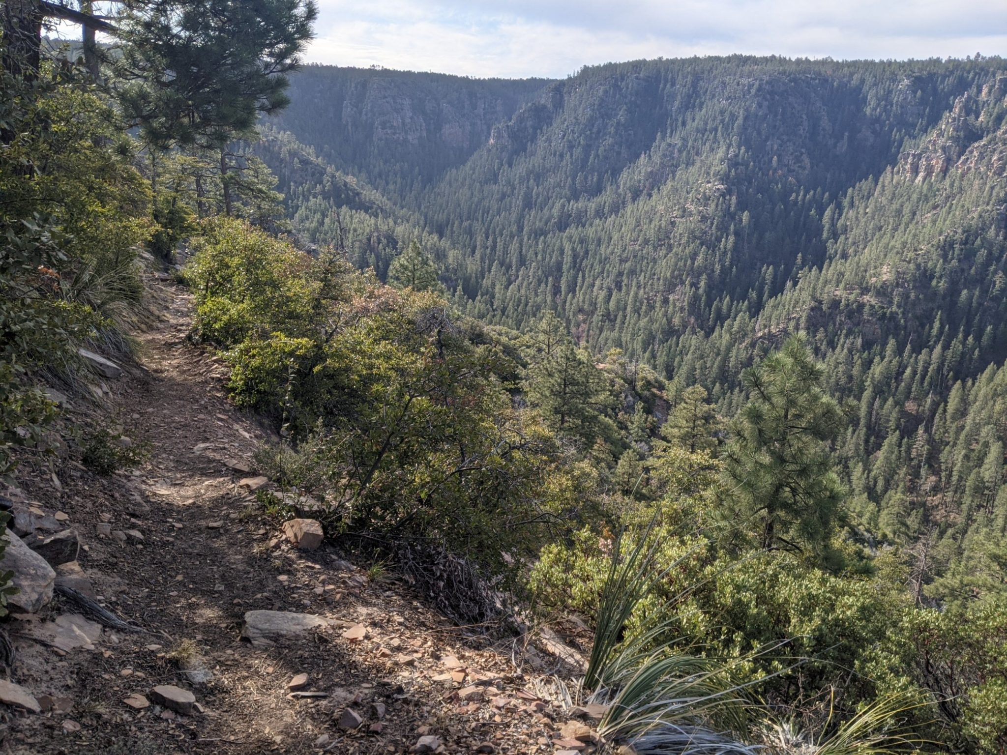 Mogollon Rim Trail 2021 – Sagebrush Trails