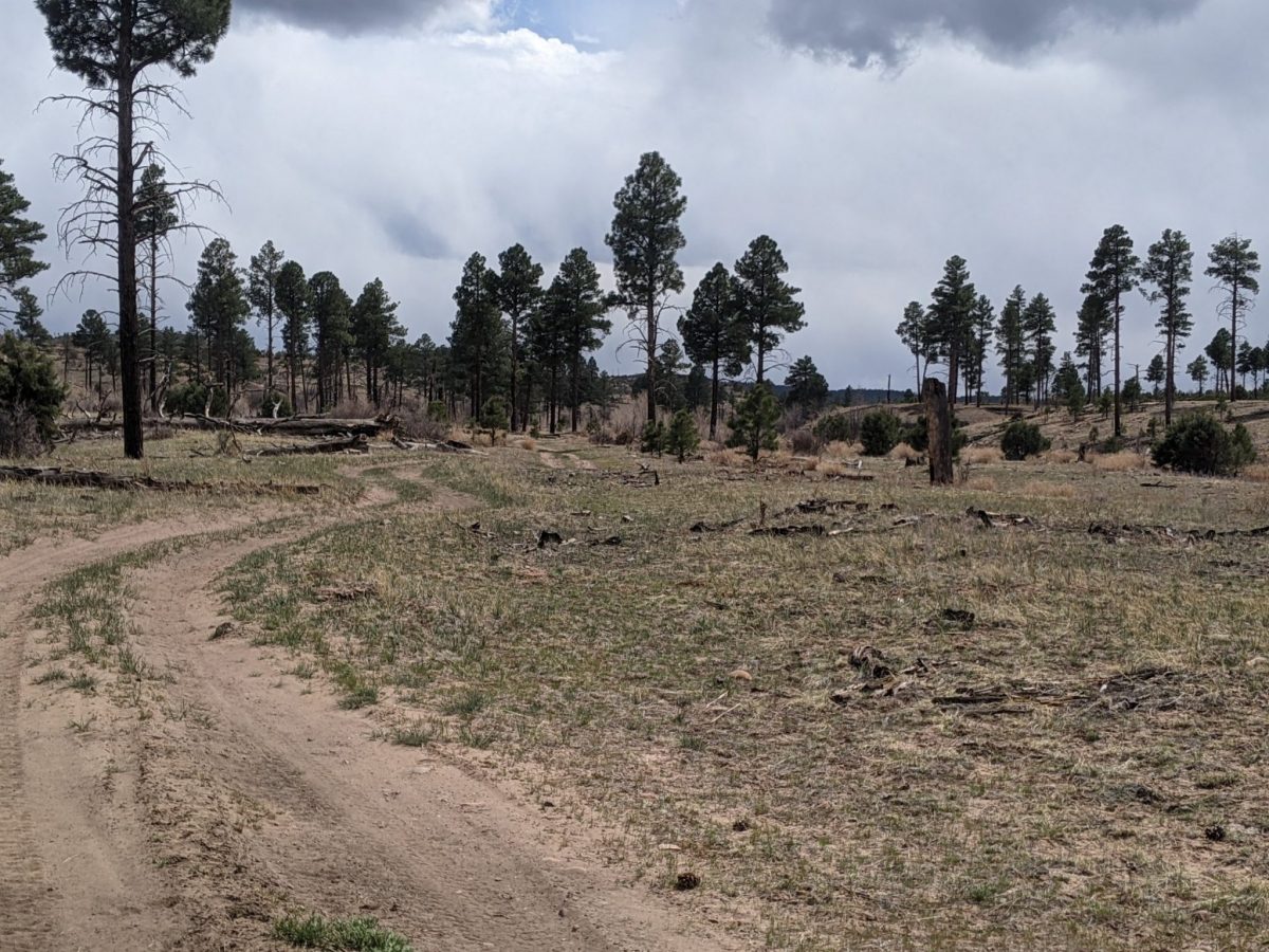 General Crook – Sagebrush Trails