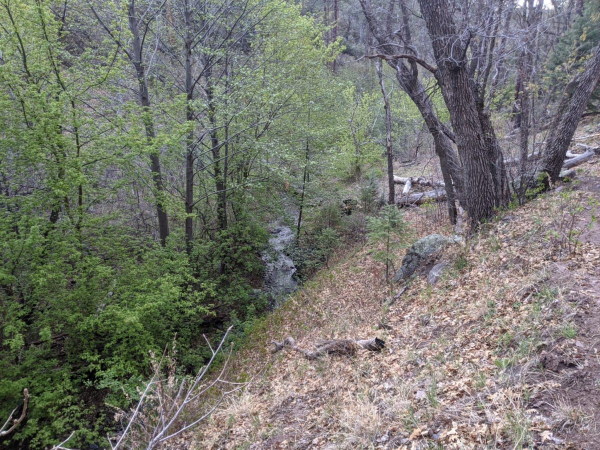 Raspberry Creek, Blue River – Sagebrush Trails