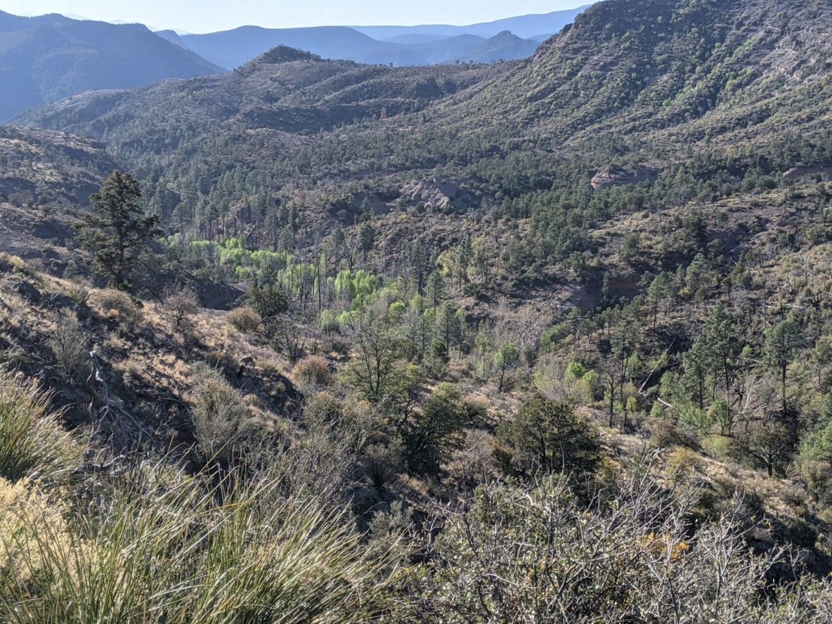 Raspberry Creek, Blue River – Sagebrush Trails