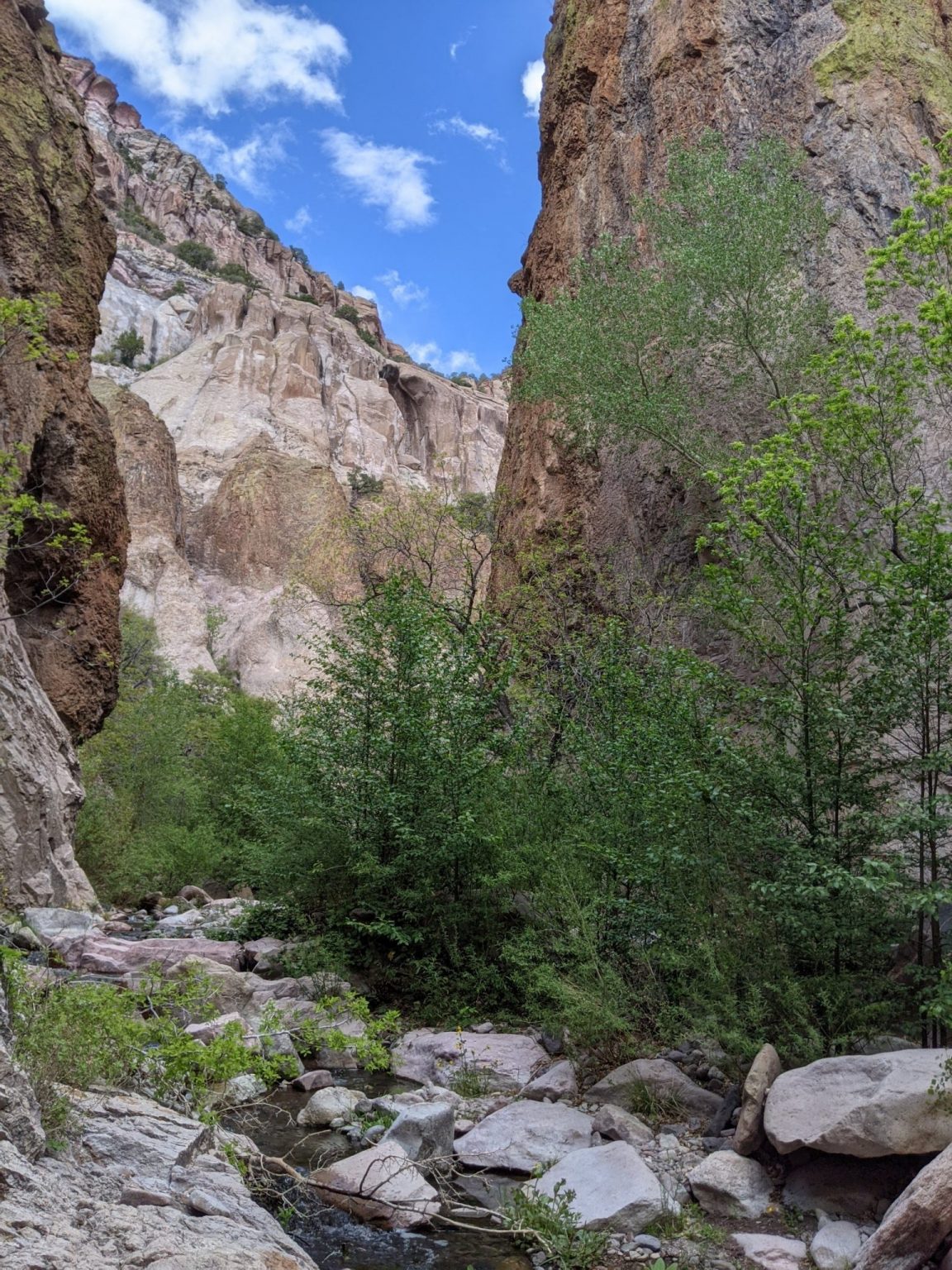 Mineral Creek – Sagebrush Trails