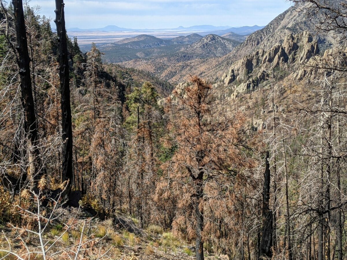 Apache Kid Wilderness 2 2021 – Sagebrush Trails