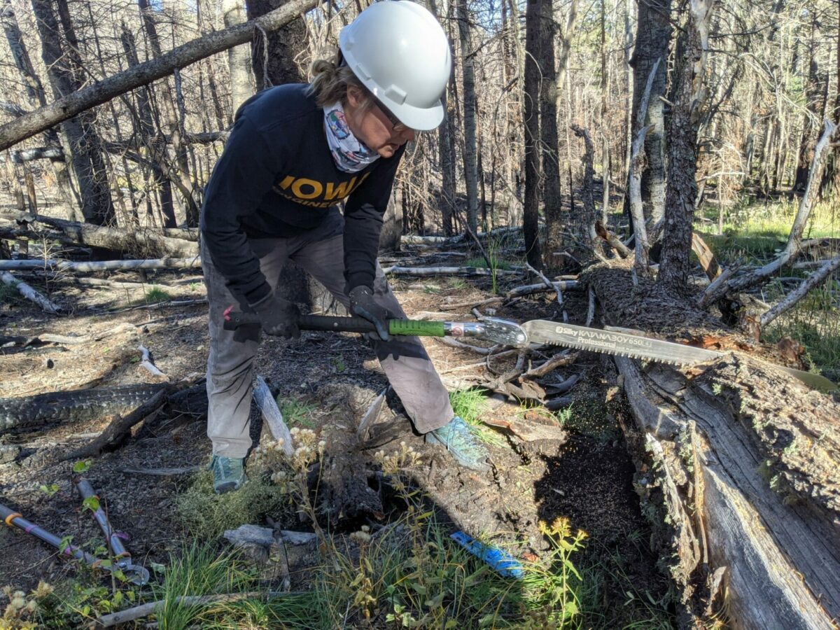 Apache Kid Wilderness 2 2021 – Sagebrush Trails