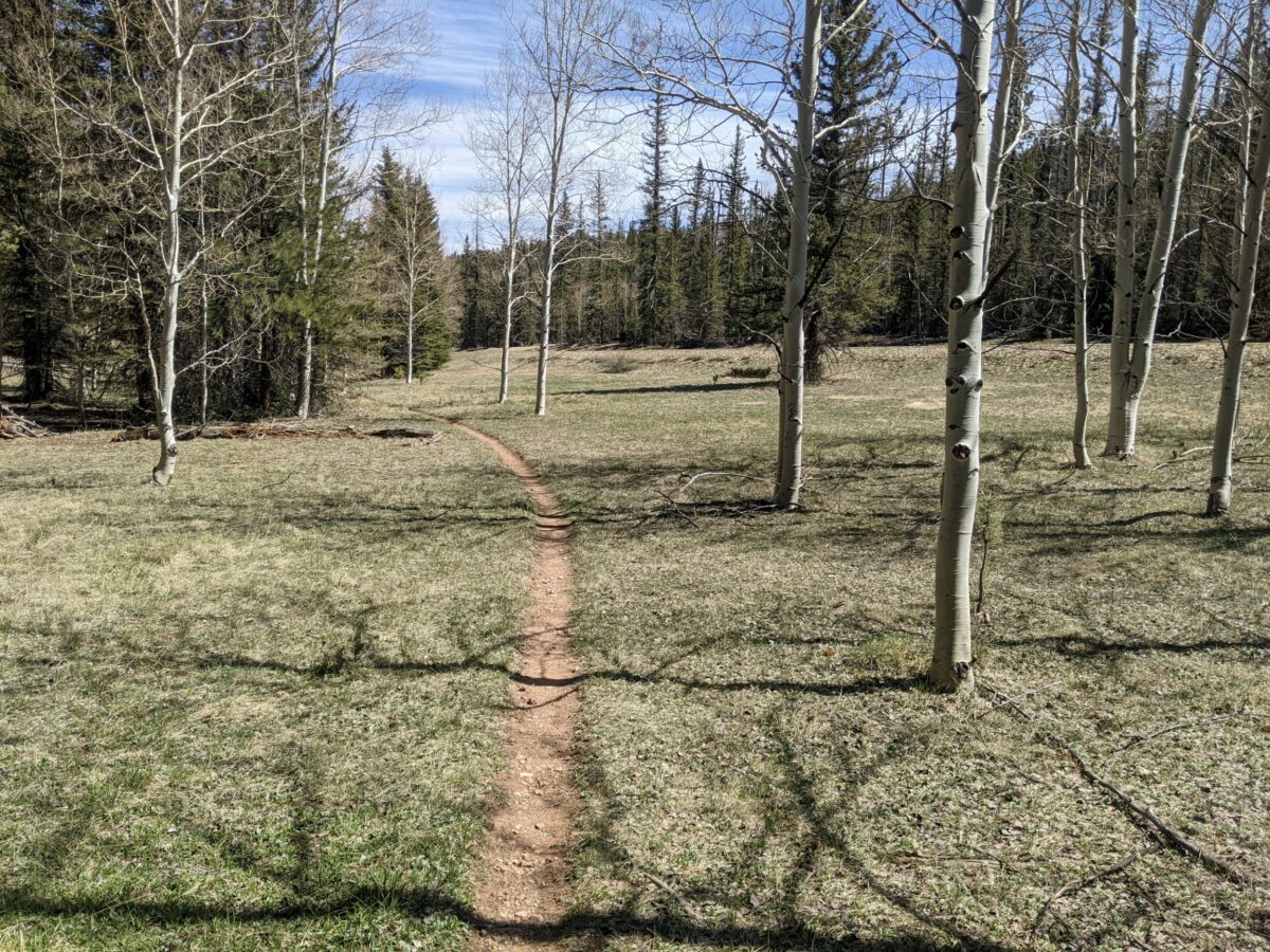 East View? – Sagebrush Trails