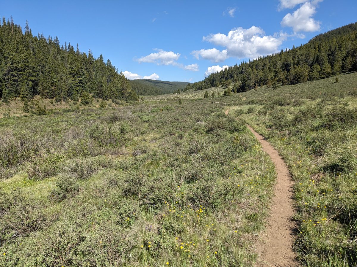 Wetland Gulch – Sagebrush Trails