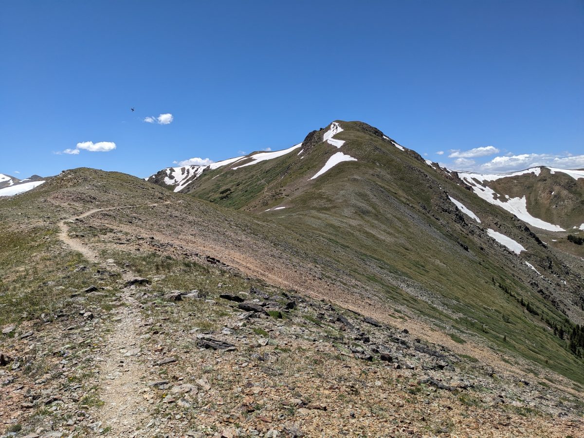 Cottonwood? – Sagebrush Trails