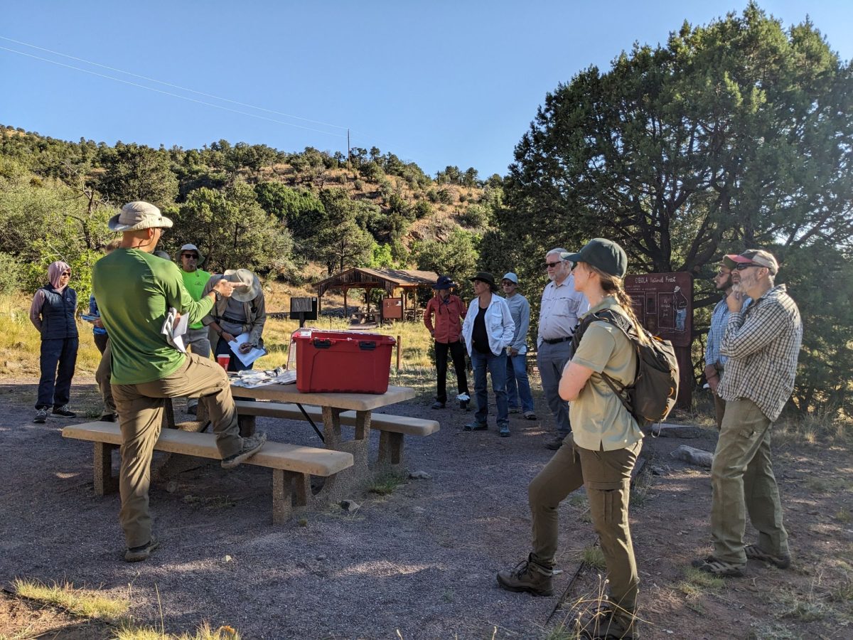 Timber Ridge Trail 2024 – Sagebrush Trails