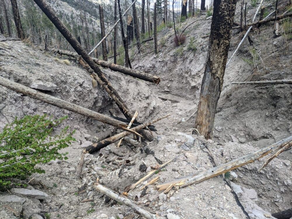 Potato Canyon Scouting 2025 – Sagebrush Trails