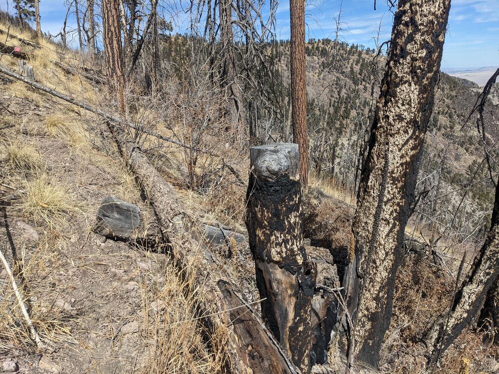Potato Canyon Scouting 2025 – Sagebrush Trails
