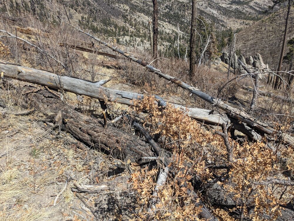 Potato Canyon Scouting 2025 – Sagebrush Trails