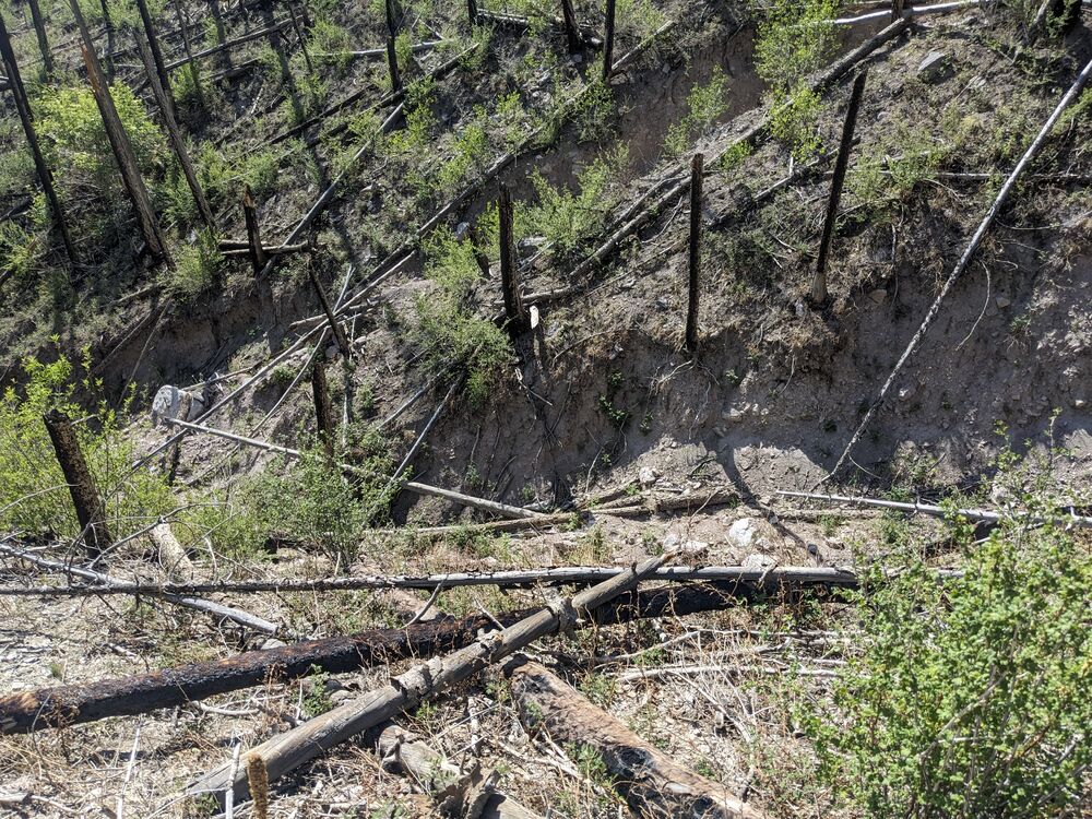 Potato Canyon Scouting 2 2025 – Sagebrush Trails